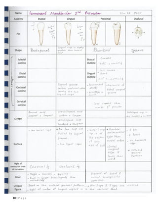 Dental Anatomy _or_ Morphology _ BDS_ ISNC | PDF