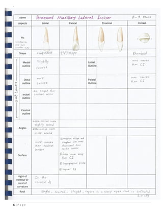 Dental Anatomy _or_ Morphology _ BDS_ ISNC | PDF