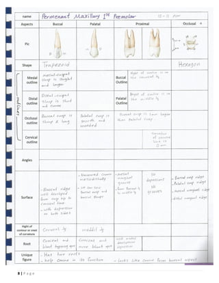 Dental Anatomy _or_ Morphology _ BDS_ ISNC | PDF