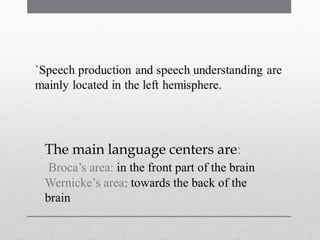 language and brain | PPT
