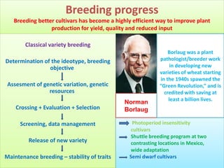 سيمينار المعهد | PPTX