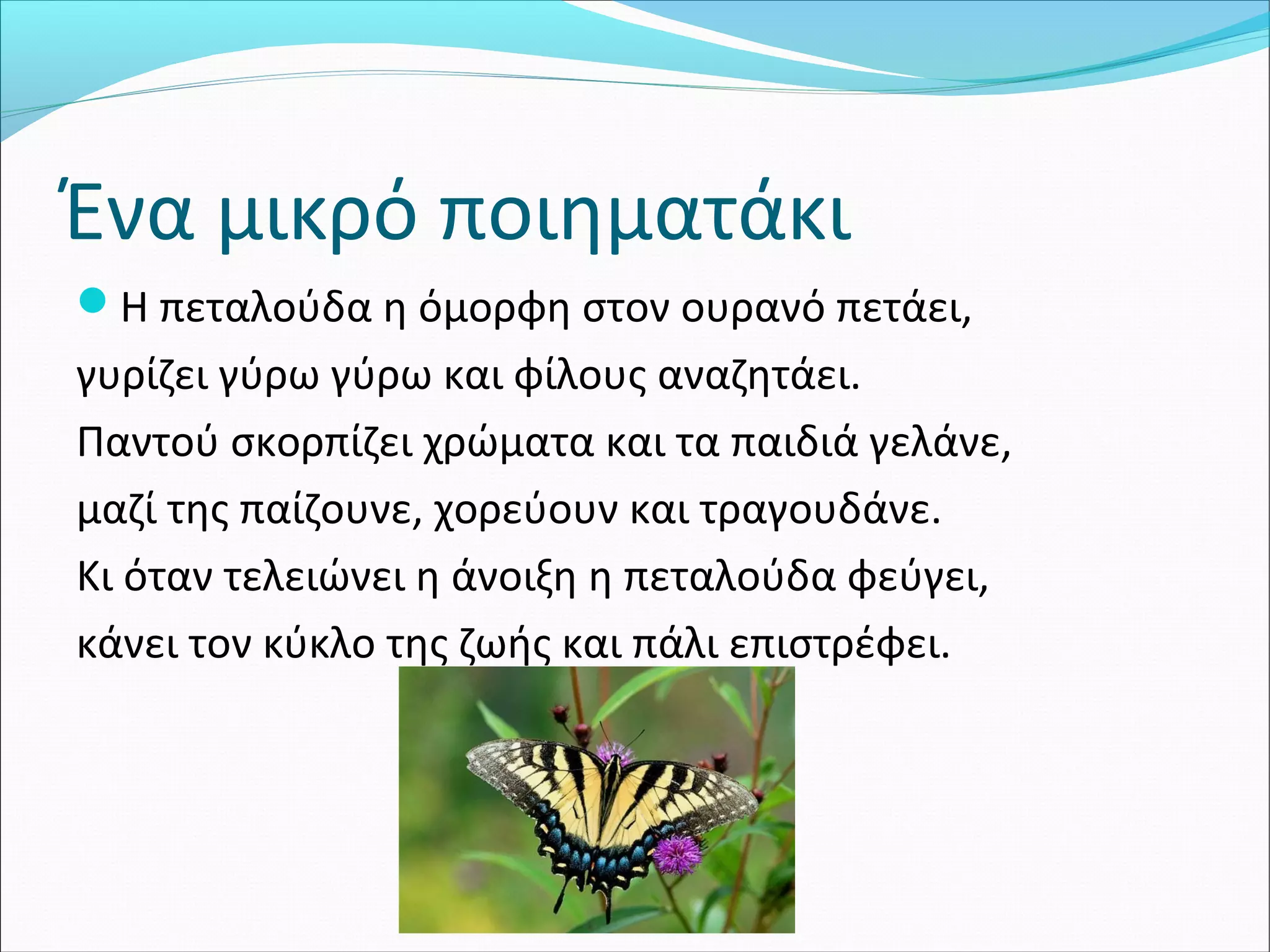 ο κύκλος ζωής της πεταλούδας. | PPT