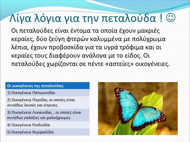 ο κύκλος ζωής της πεταλούδας. | PPT