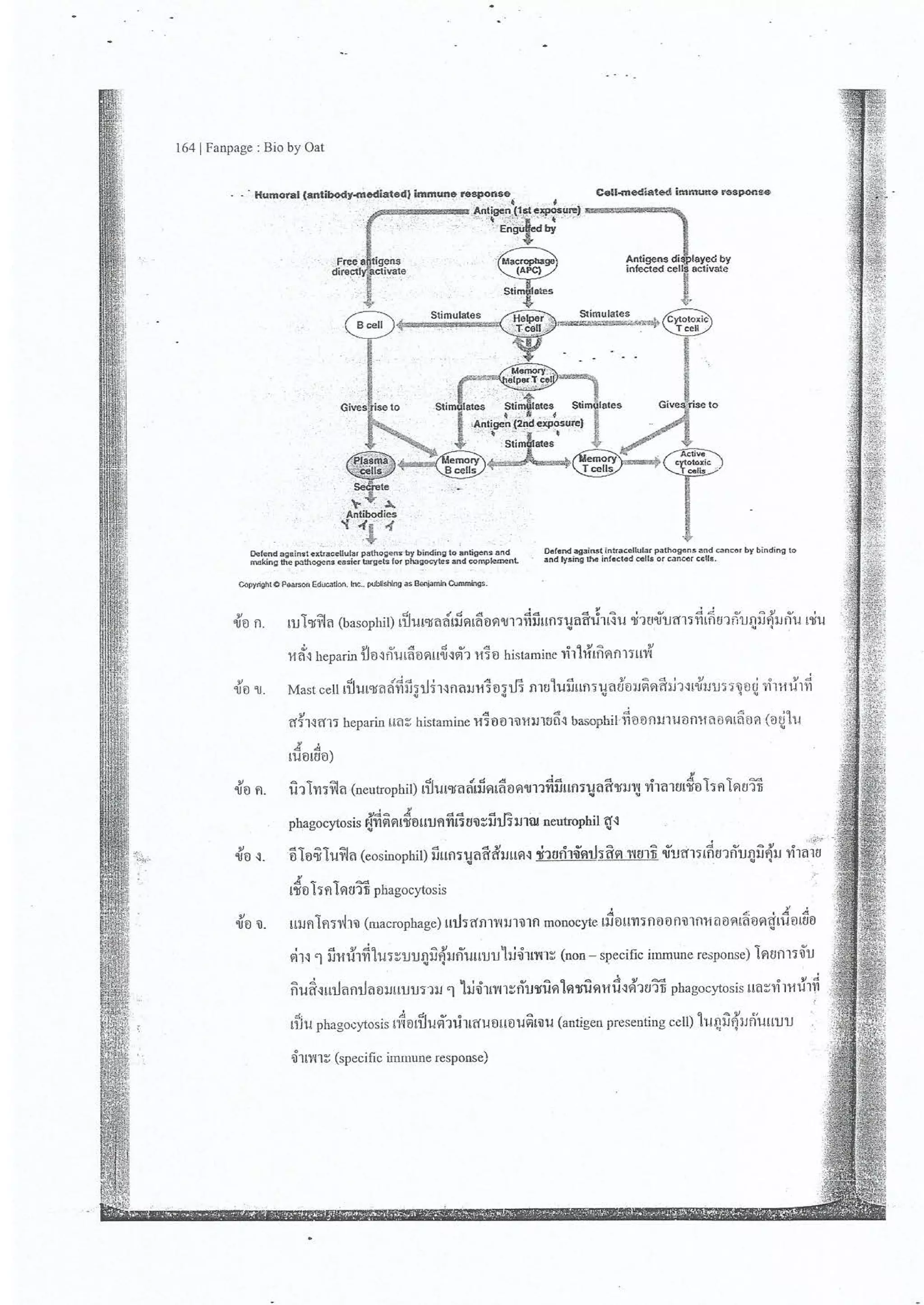 เฉลย กสพท. ชีววิทยา 2559 | PDF