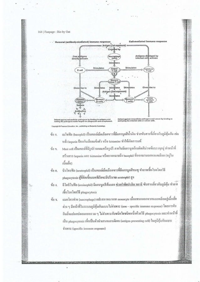 เฉลย กสพท. ชีววิทยา 2559 | PDF