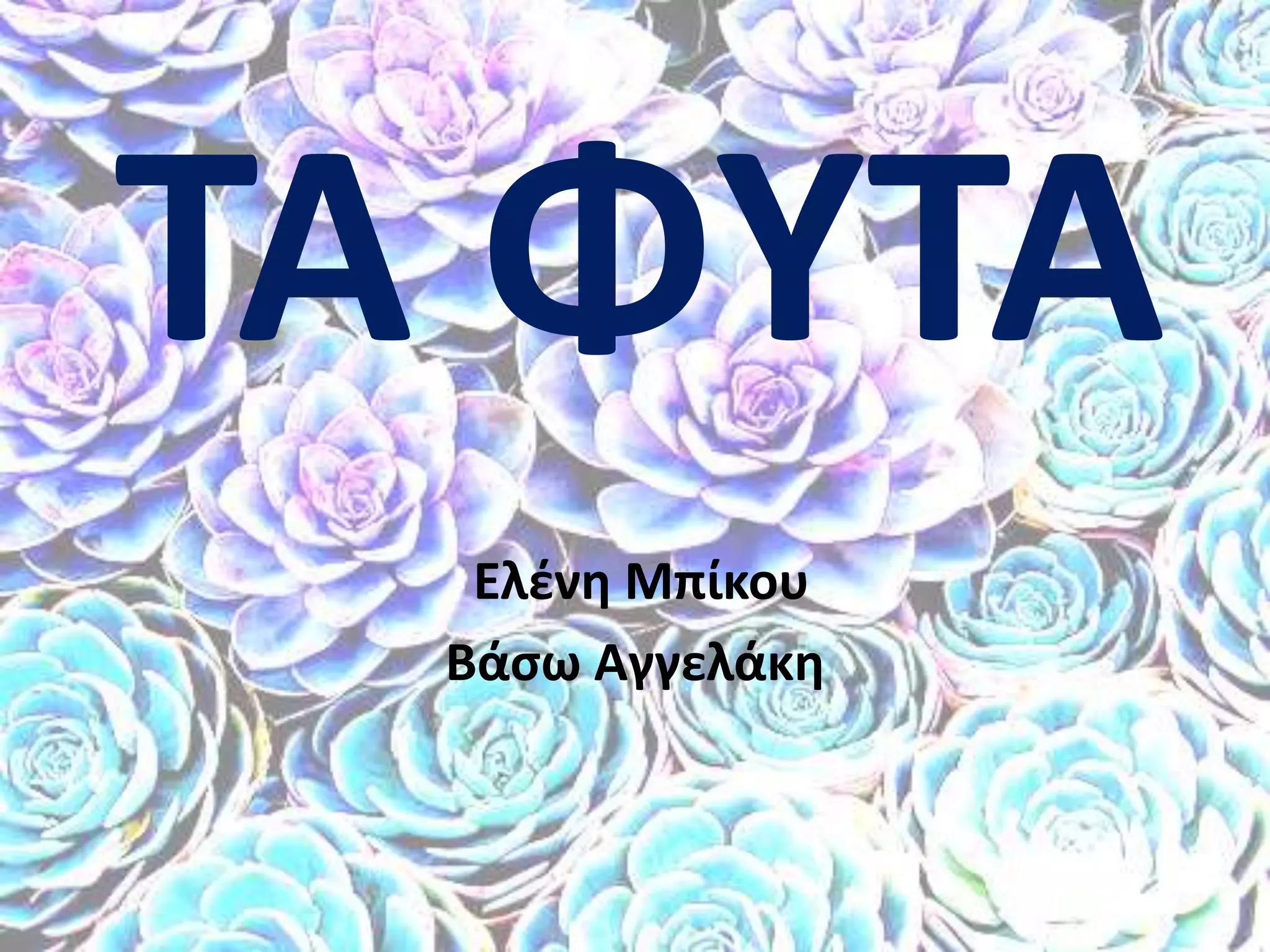 τα φυτα | PPT