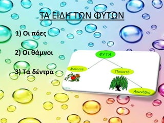 τα φυτα | PPT