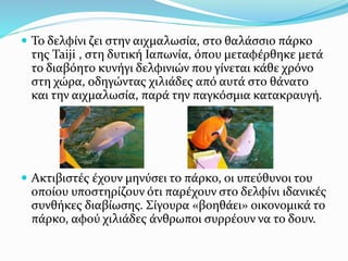 ΔΕΛΦΙΝΙ | PPTX