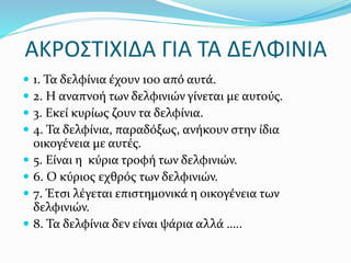 ΔΕΛΦΙΝΙ | PPTX
