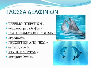 ΔΕΛΦΙΝΙ | PPTX