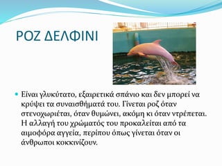 ΔΕΛΦΙΝΙ | PPTX