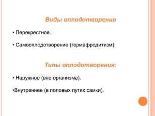 Оплодотворение и его значение | PPT