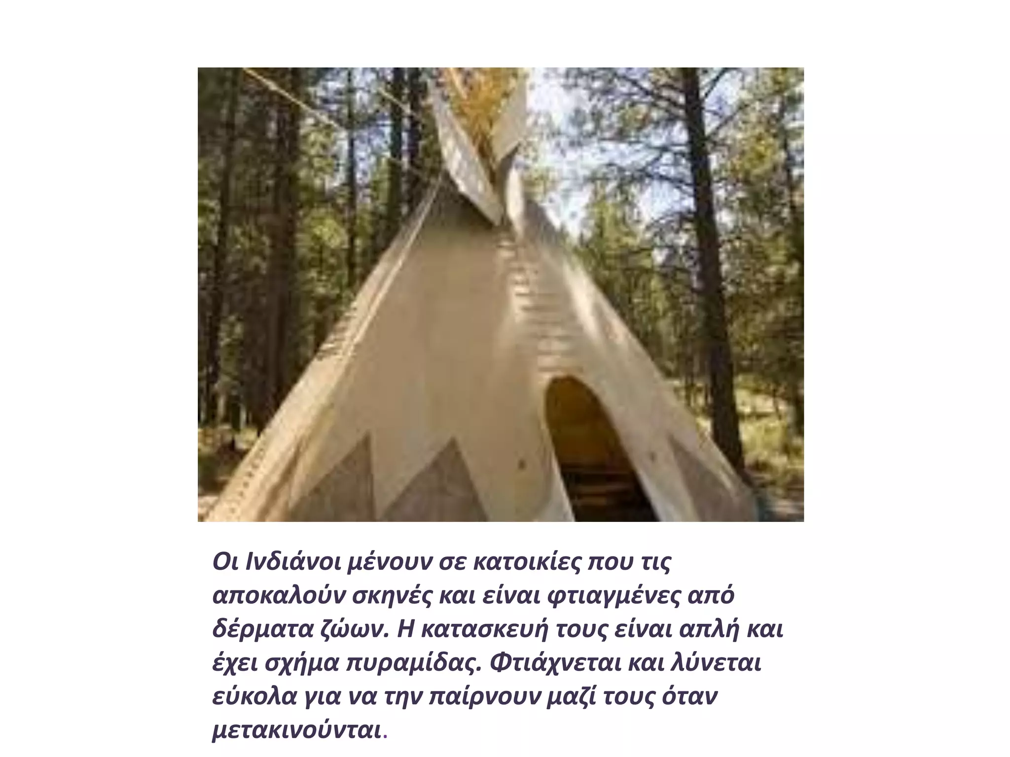 Η ζωή των Ινδιάνων | PPTX
