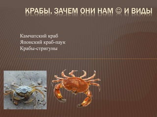 краб | PPT