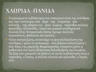 η ζωη στις πολικες περιοχες | PPTX