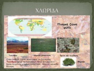 η ζωη στις πολικες περιοχες | PPTX