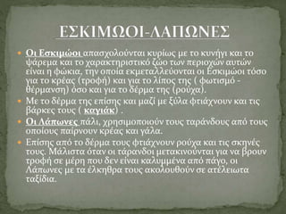 η ζωη στις πολικες περιοχες | PPTX
