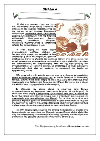 Η ελιά στην Ελλάδα και στη Μεσόγειο, σχέδιο μαθήματος | PDF