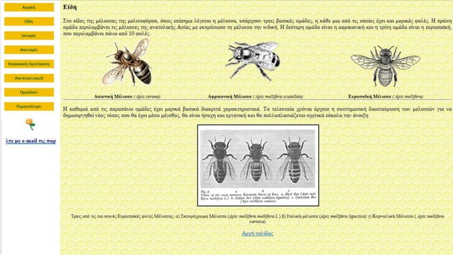 Μέλισσα και Μελισσοκομικά Προϊόντα | PPT