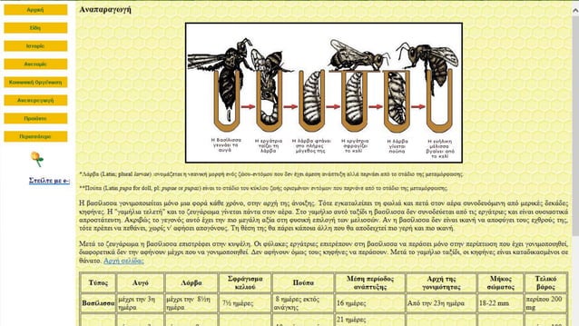 Μέλισσα και Μελισσοκομικά Προϊόντα | PPT
