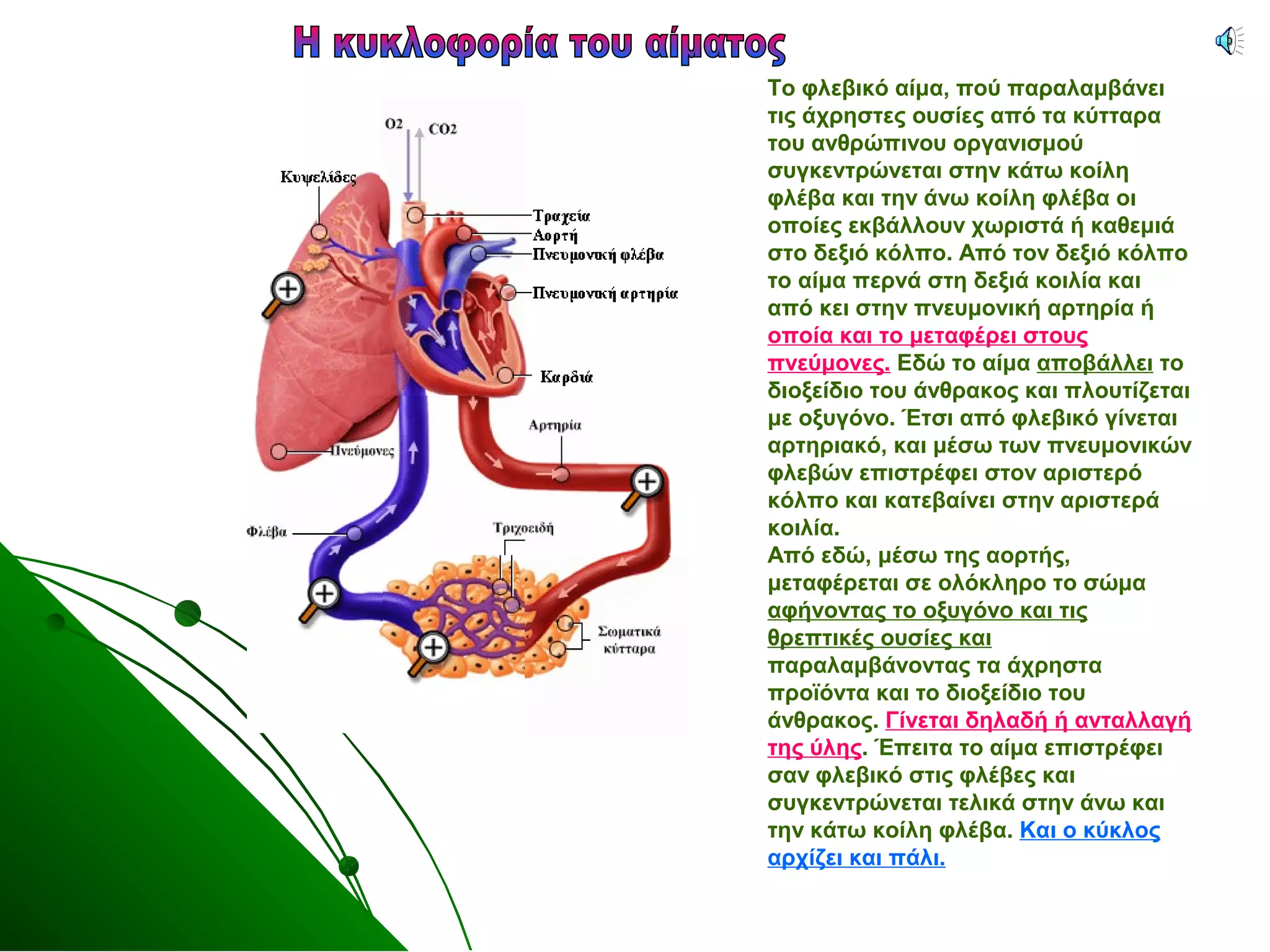 κυκλοφορικό σύστημα | PPS
