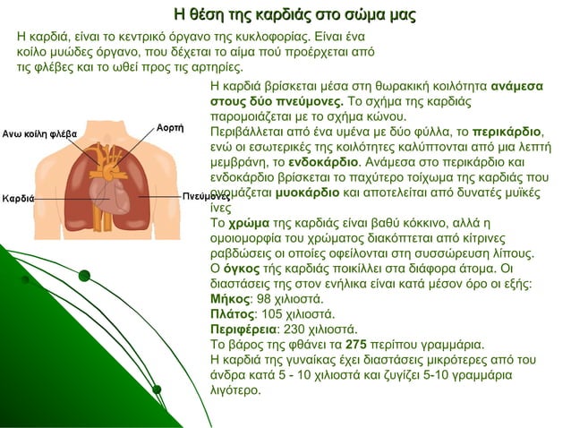 κυκλοφορικό σύστημα | PPS