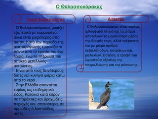 θαλασσοπούλια της ελλάδος τελική διορθωμένη | PPT