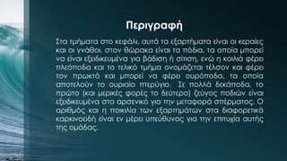 καρκινοειδή όστρακα τελική διορθωμένη | PPT