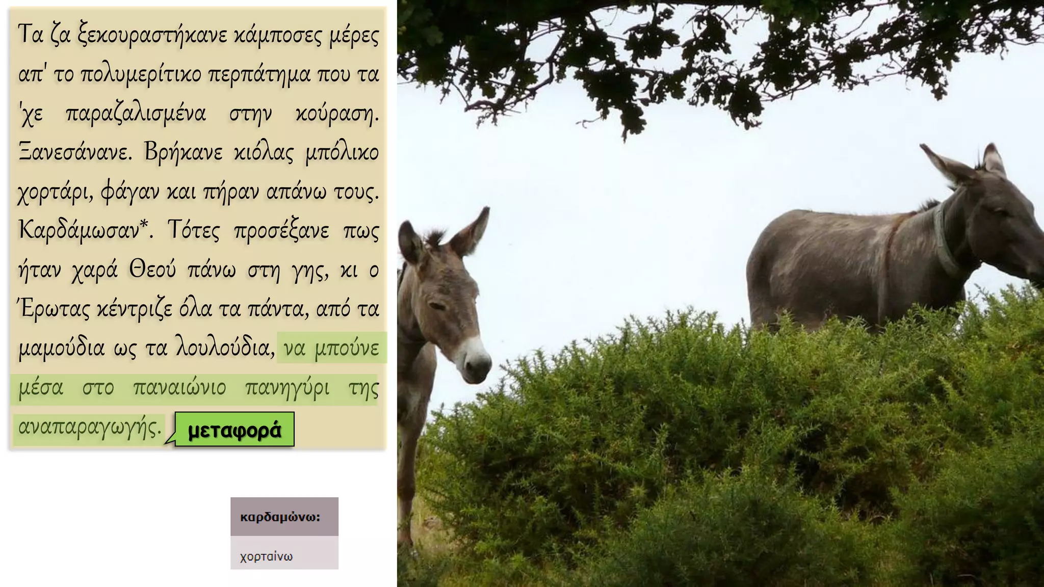 Στράτης Μυριβήλης, Τα ζα. Κείμενα Νεοελληνικής Λογοτεχνίας Γ΄ Γυμνασίου ...