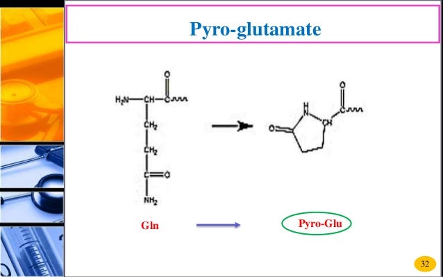 Post-translational modification of monoclonal antibodies