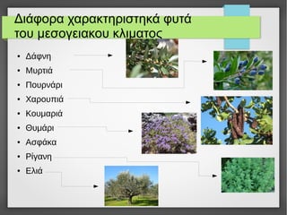 Μεσογειακό κλίμα | PPT