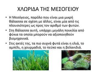 Μεσόγειος θάλασσα | PPTX
