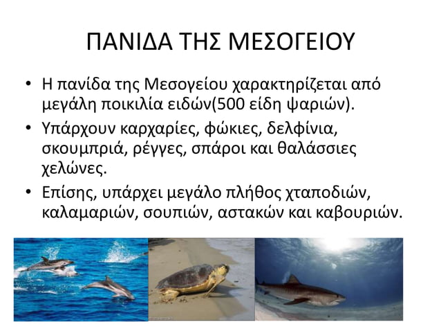 Μεσόγειος θάλασσα | PPTX