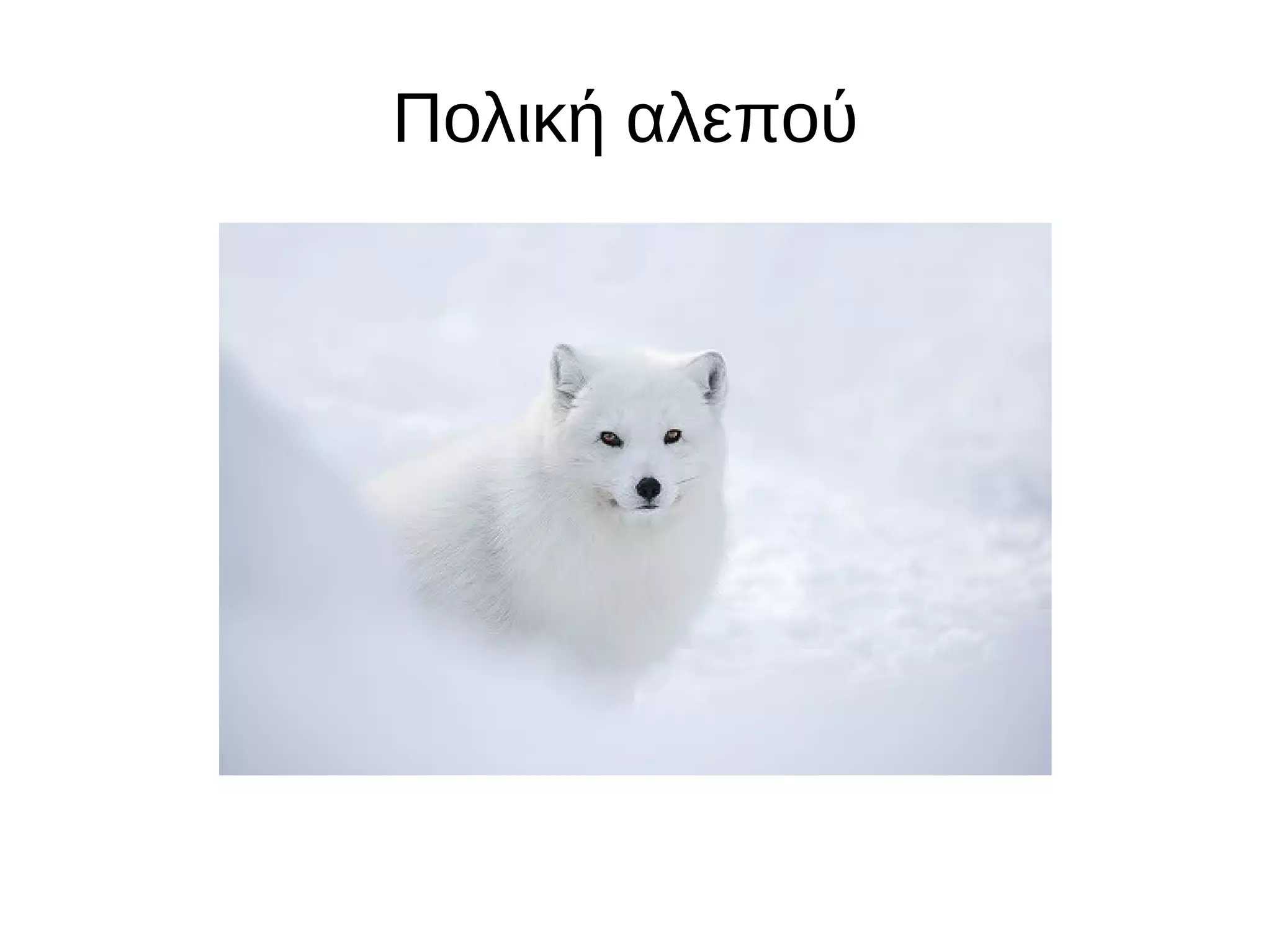 πολικο κλιμα | ODP