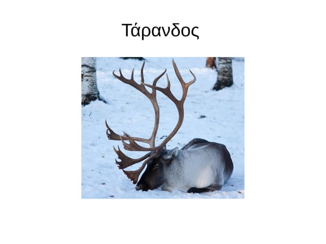 πολικο κλιμα | ODP