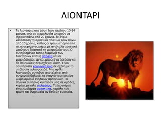 Το λιοντάρι | PPT