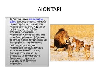 Το λιοντάρι | PPT