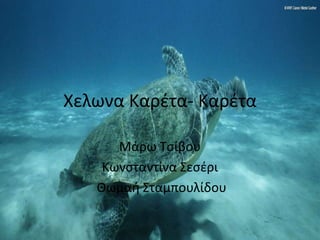 χελωνα καρέτα καρέτα (τελικο) | PPT