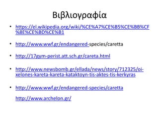 χελωνα καρέτα καρέτα (τελικο) | PPT