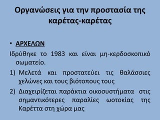 χελωνα καρέτα καρέτα (τελικο) | PPT