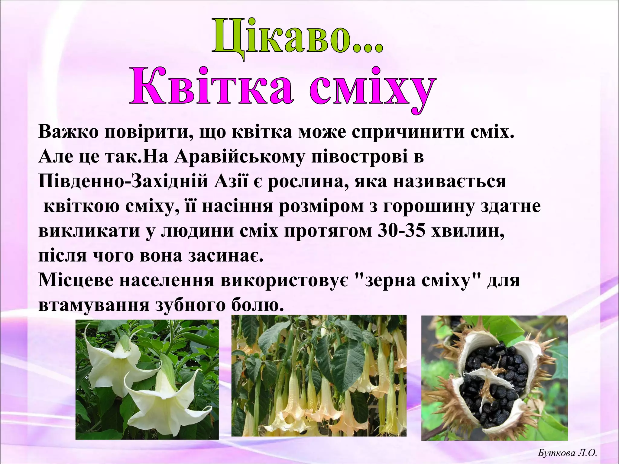 Слова назви квітів Ppt
