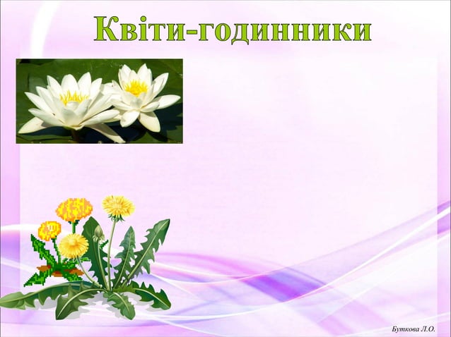 Слова назви квітів Ppt