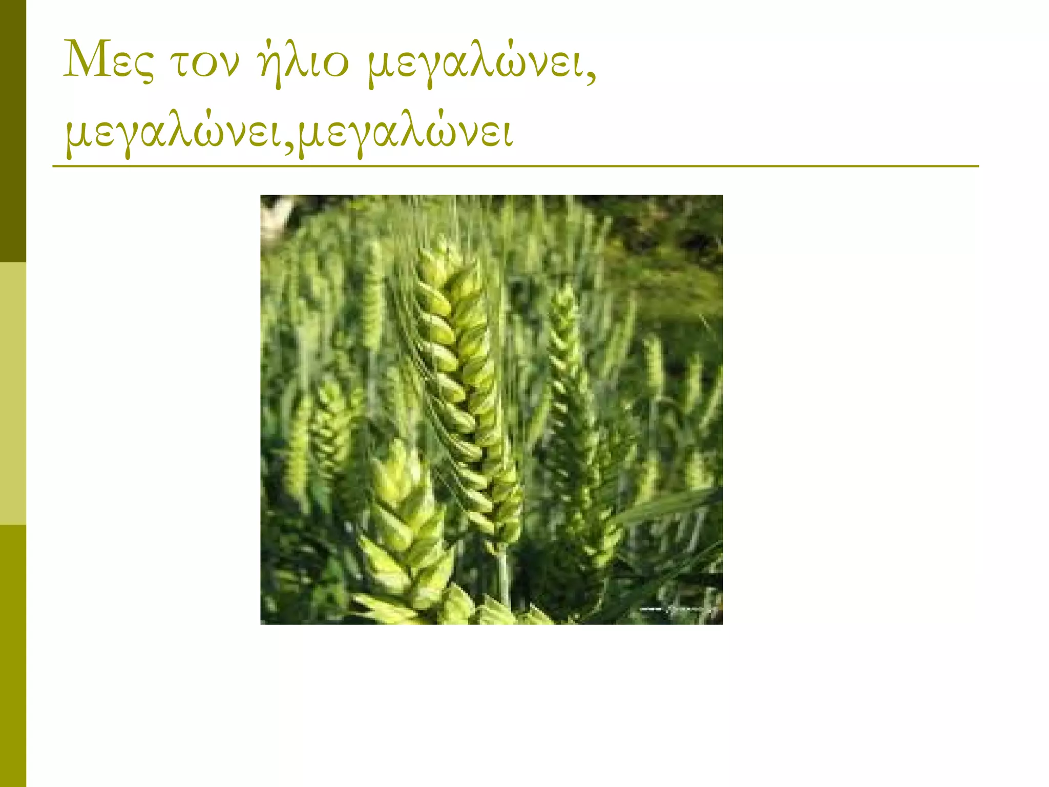 ο γεωργος | PPT