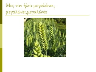 ο γεωργος | PPT