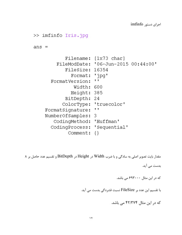 image processing using MATLAB | PDF