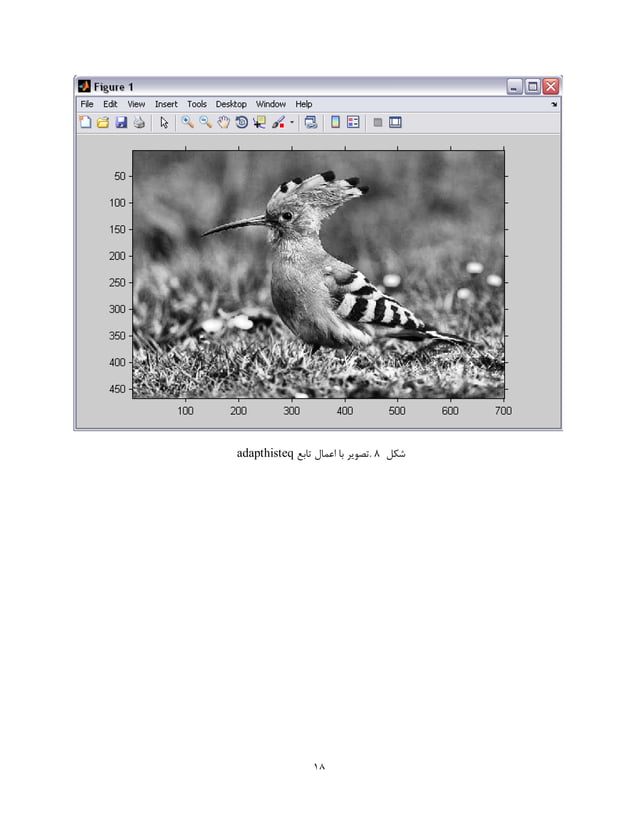 image processing using MATLAB | PDF