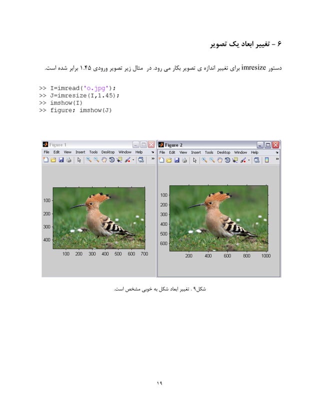 image processing using MATLAB | PDF