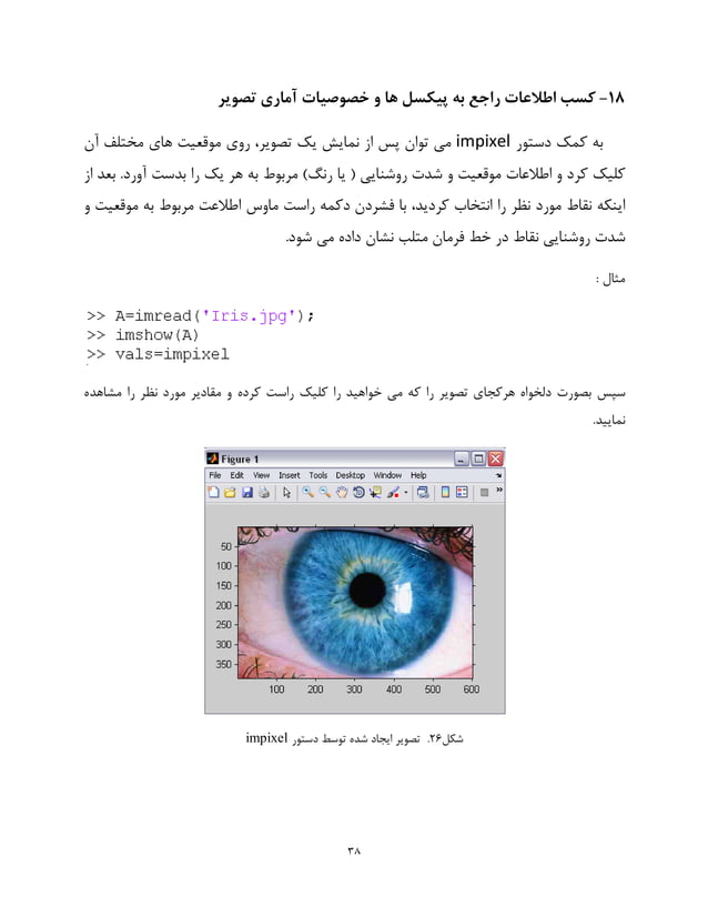 image processing using MATLAB | PDF