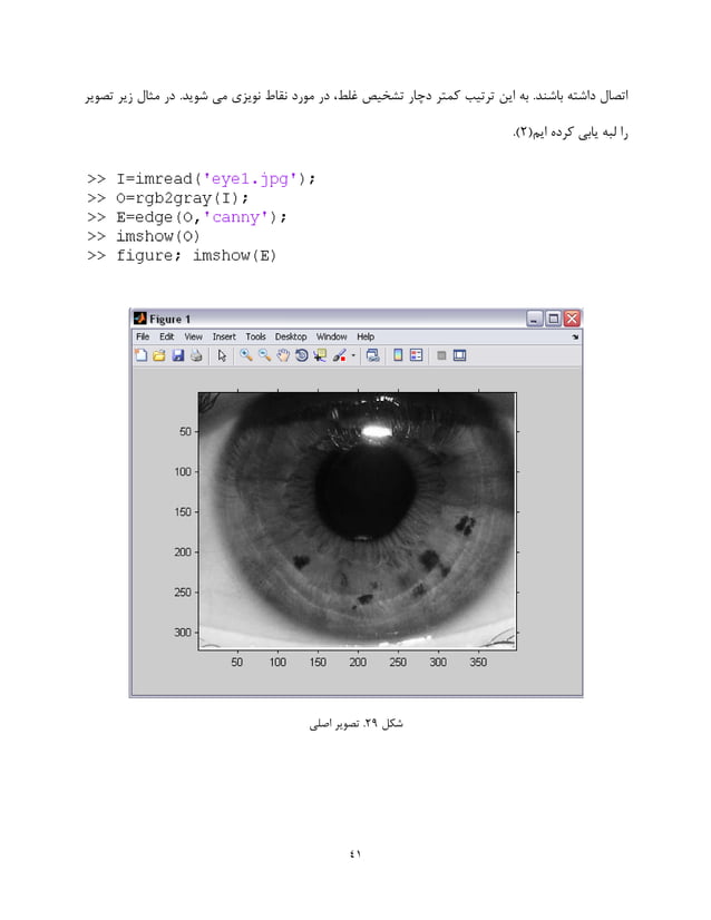 image processing using MATLAB | PDF