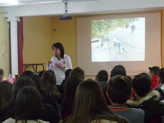 προγραμμα παροχησ πρωτων βοηθειων ελληνικου ερυθρου σταυρου | PPT